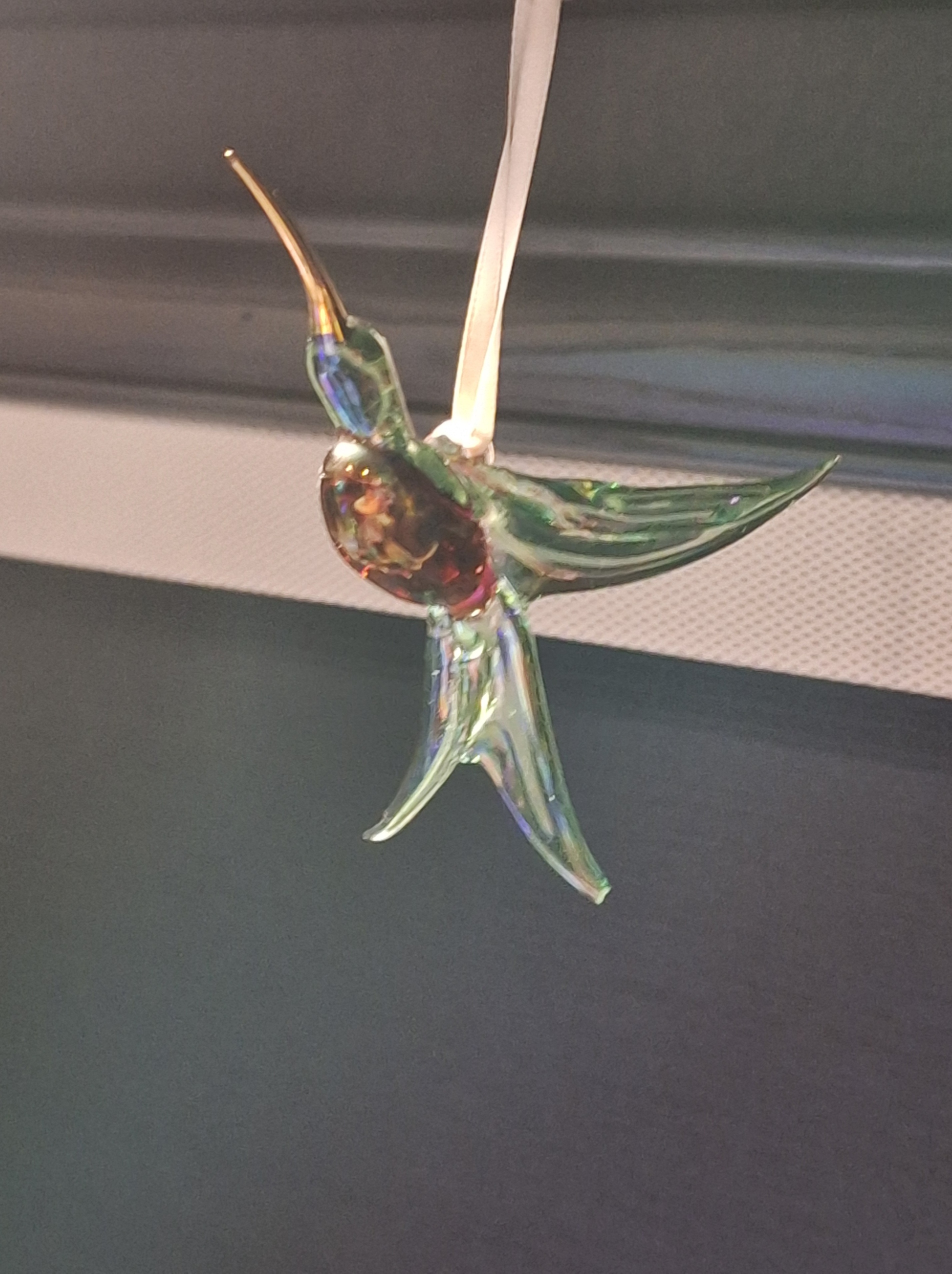 Why Hummingbirds? – On Hummingbirds Wings